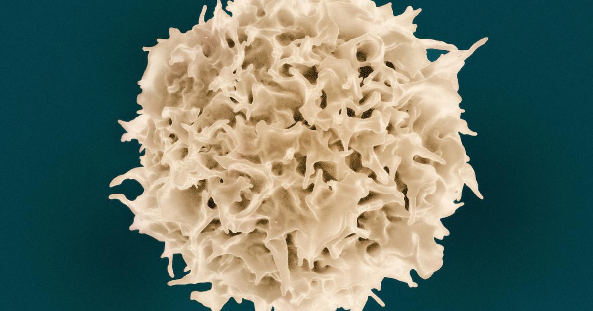 Što su leukociti i kako tumačiti njihove vrijednosti u krvi?